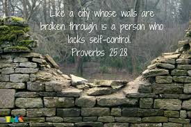 Guard Your Spirit, Control Your Emotions: A Deep Dive into Proverbs 25: ...